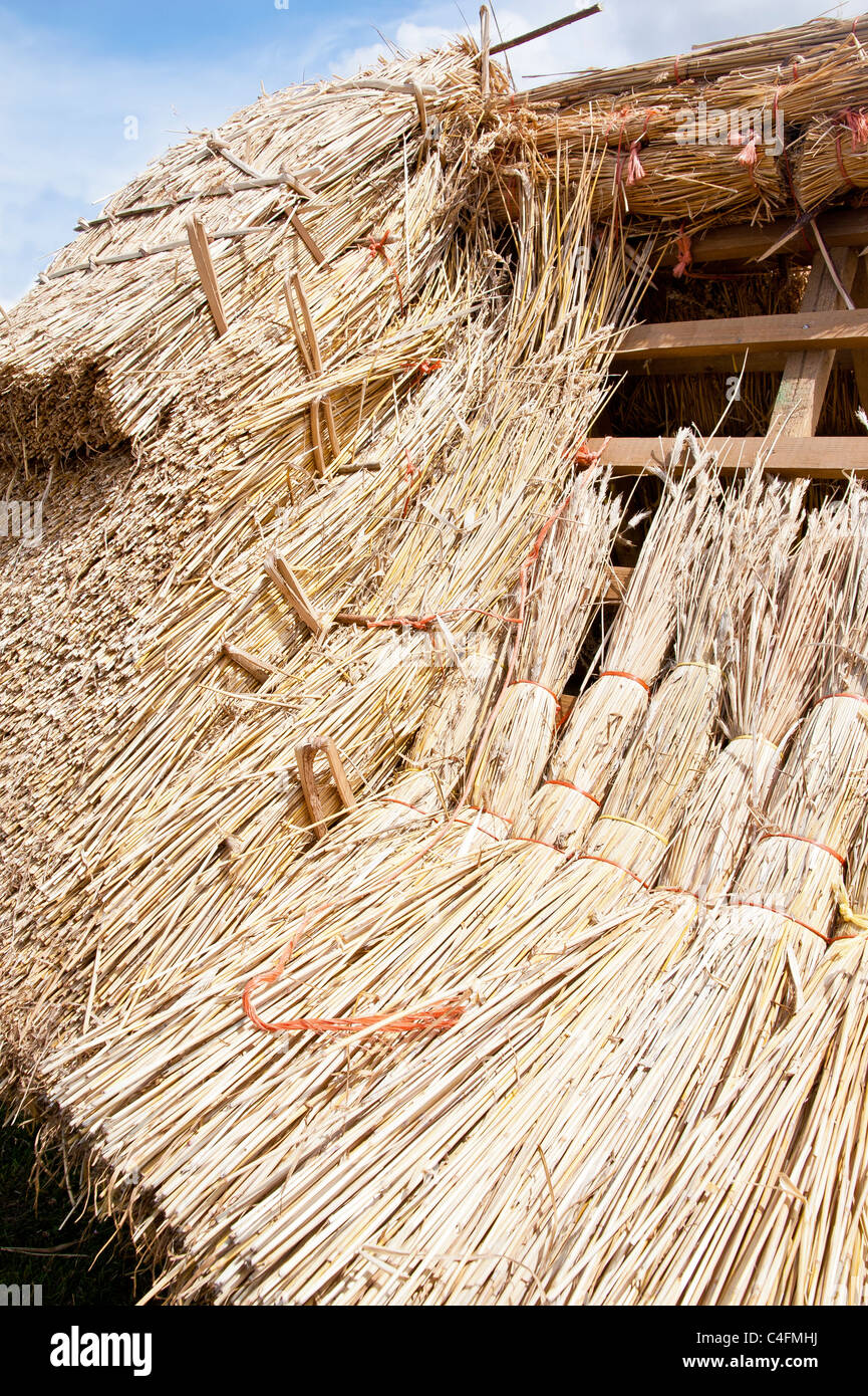 Section through a piece of thatched roof, showing the layers and ...