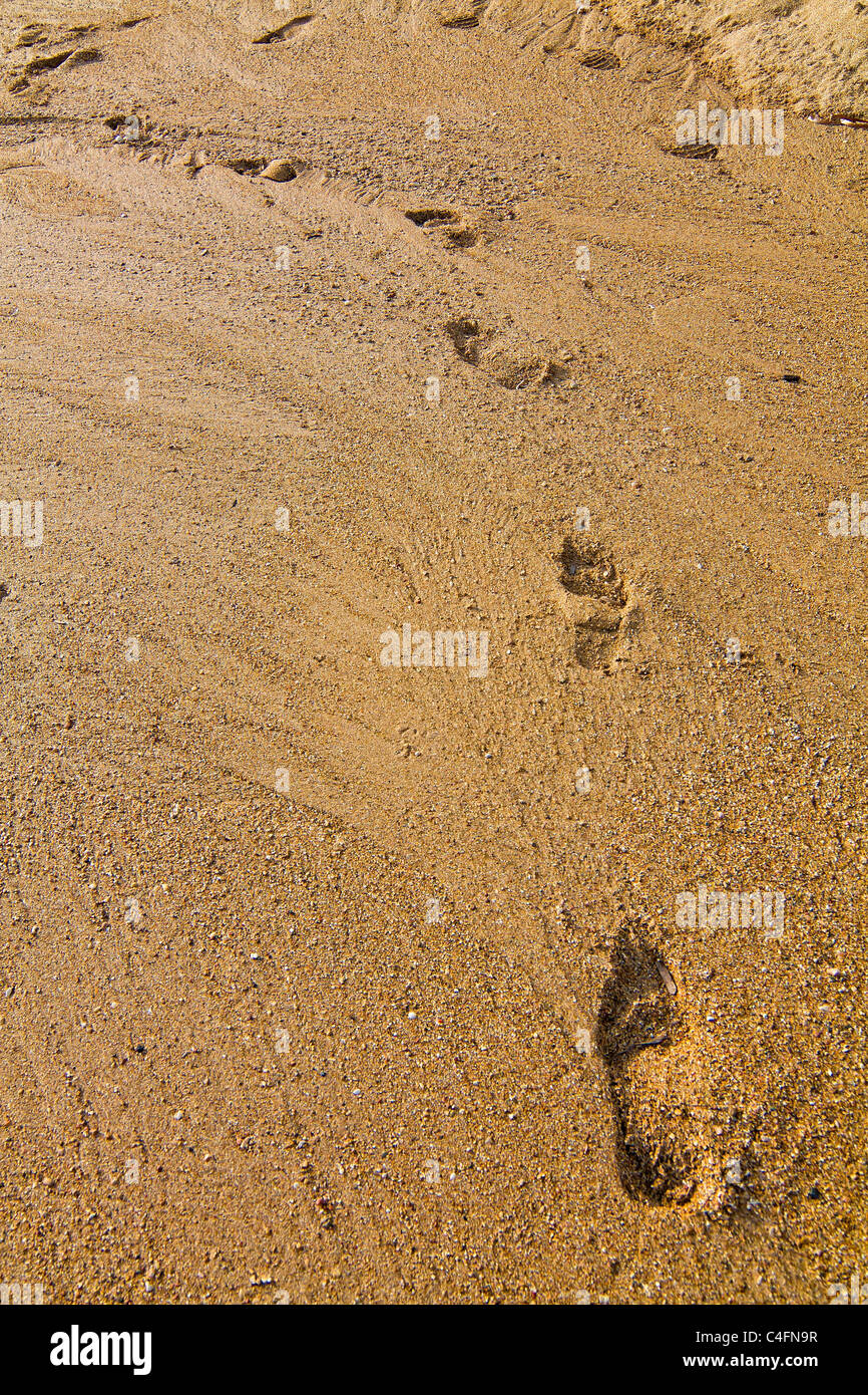 Footsteps on the sand at the beach as texture Stock Photo - Alamy
