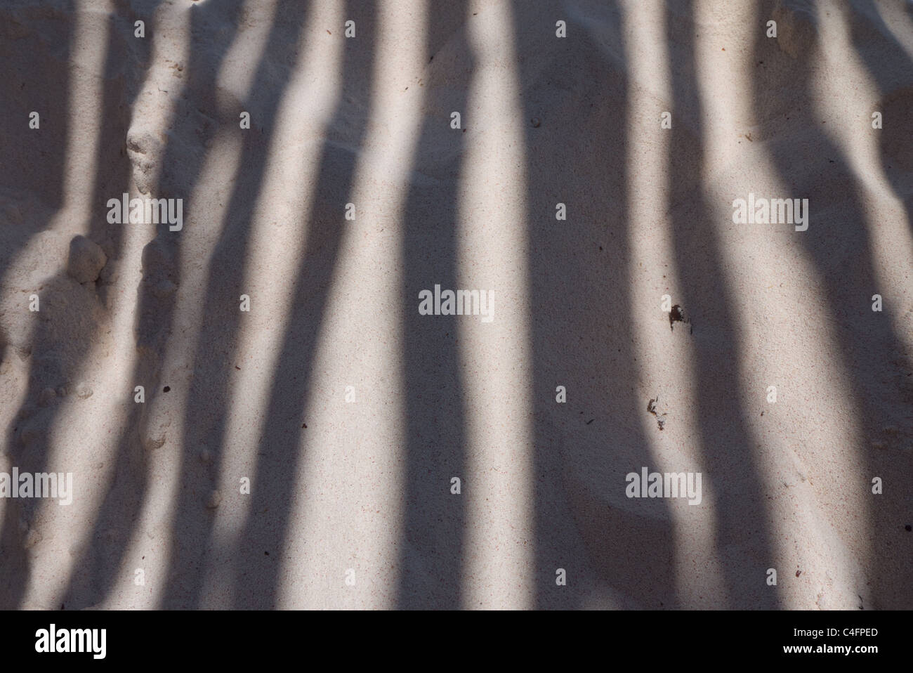 shadow of cane palapa on sand Stock Photo - Alamy