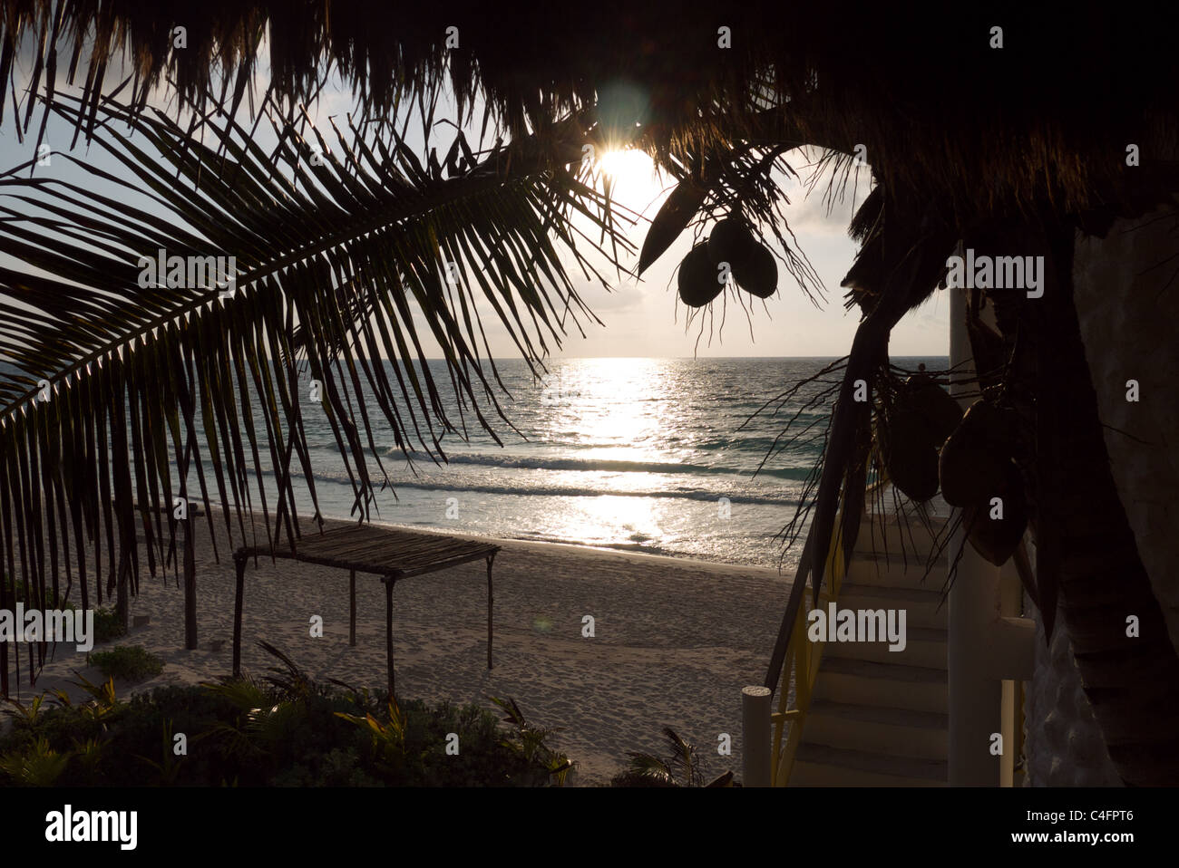 Mexico tulum sunset palm hi-res stock photography and images - Alamy