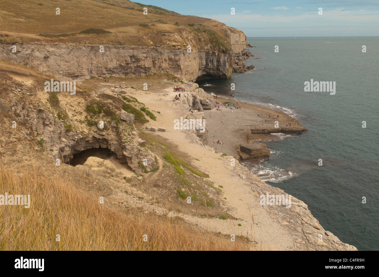 Dancing Ledge, Swanage, Dorset, UK. July Stock Photo - Alamy