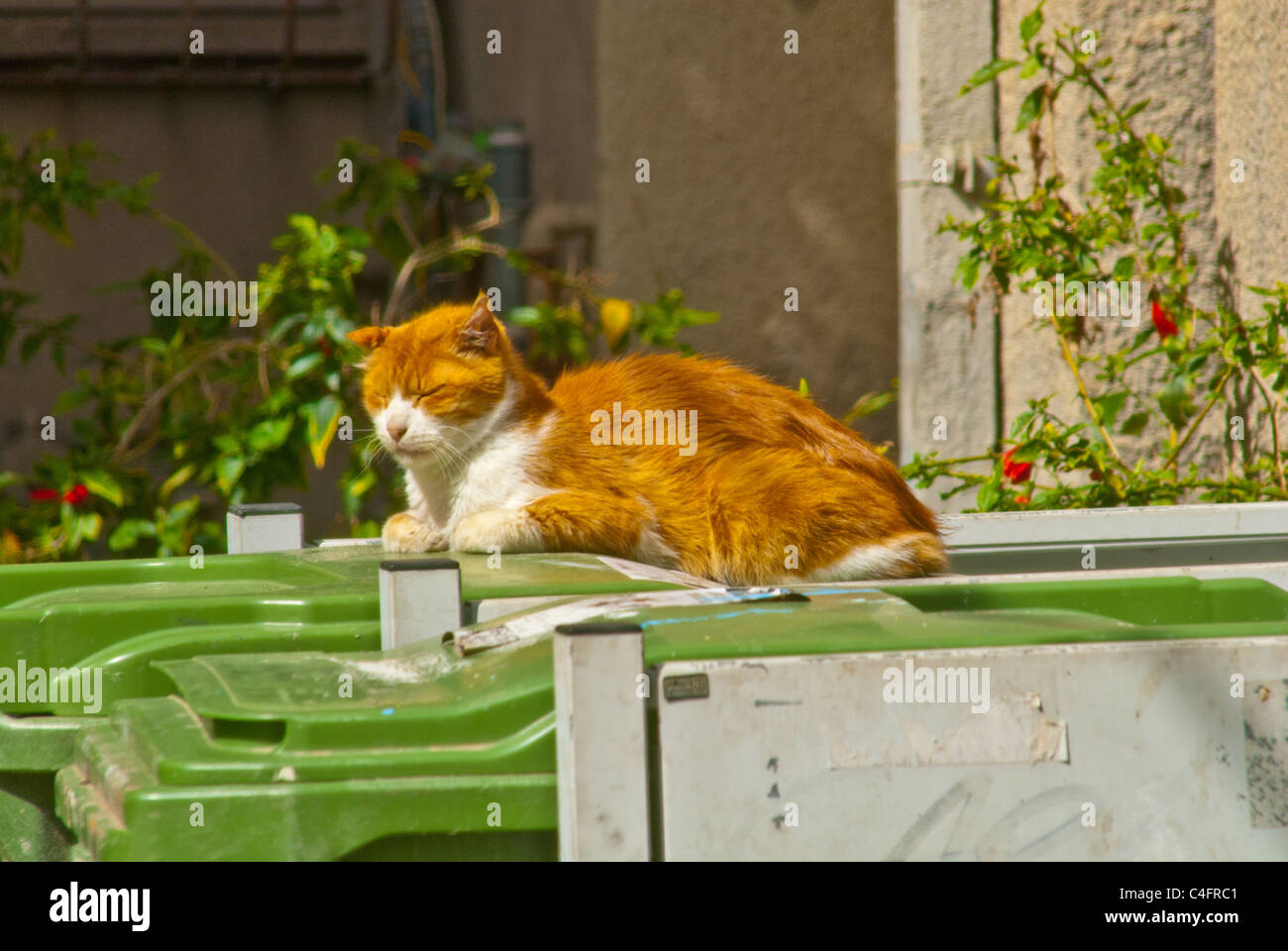 Tel Aviv, scene of life Stock Photo - Alamy
