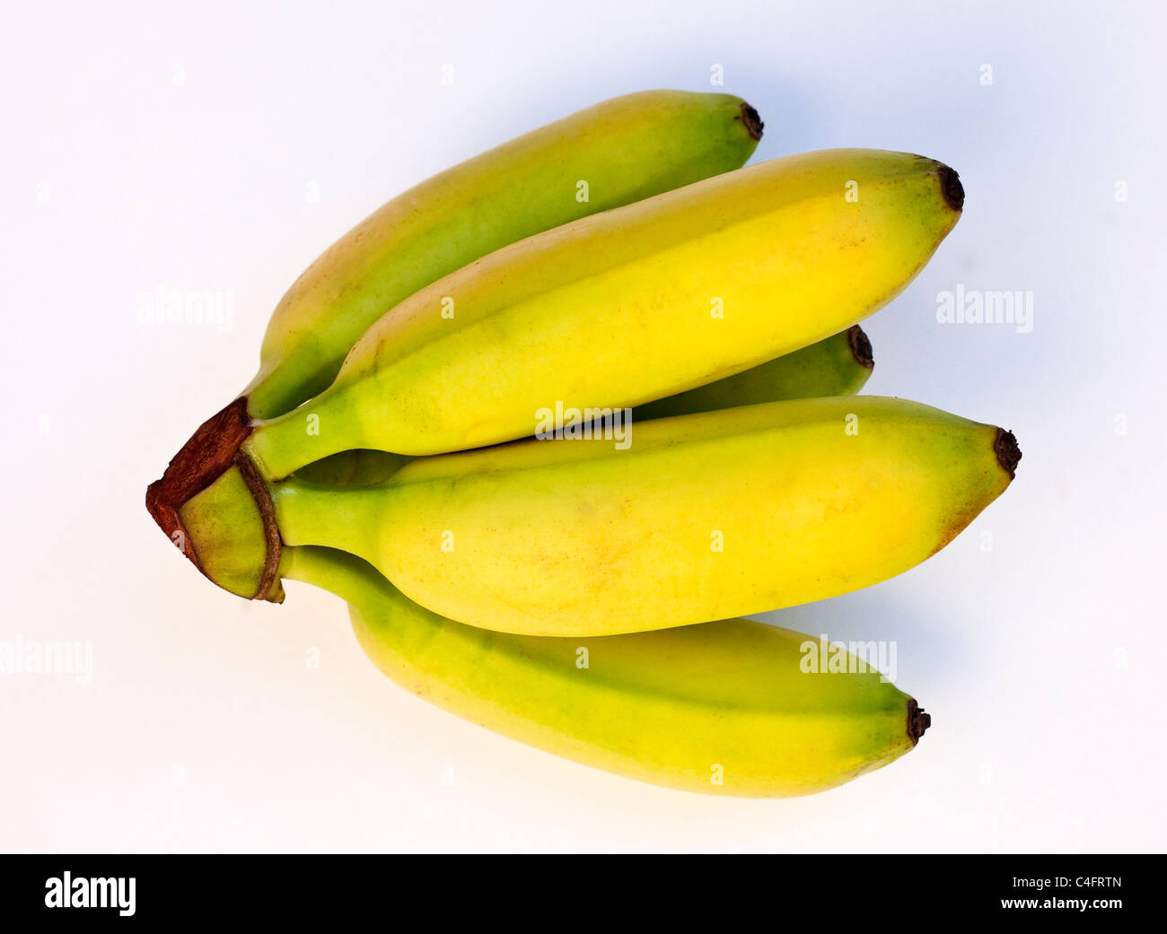 bunch of mini bananas Stock Photo - Alamy