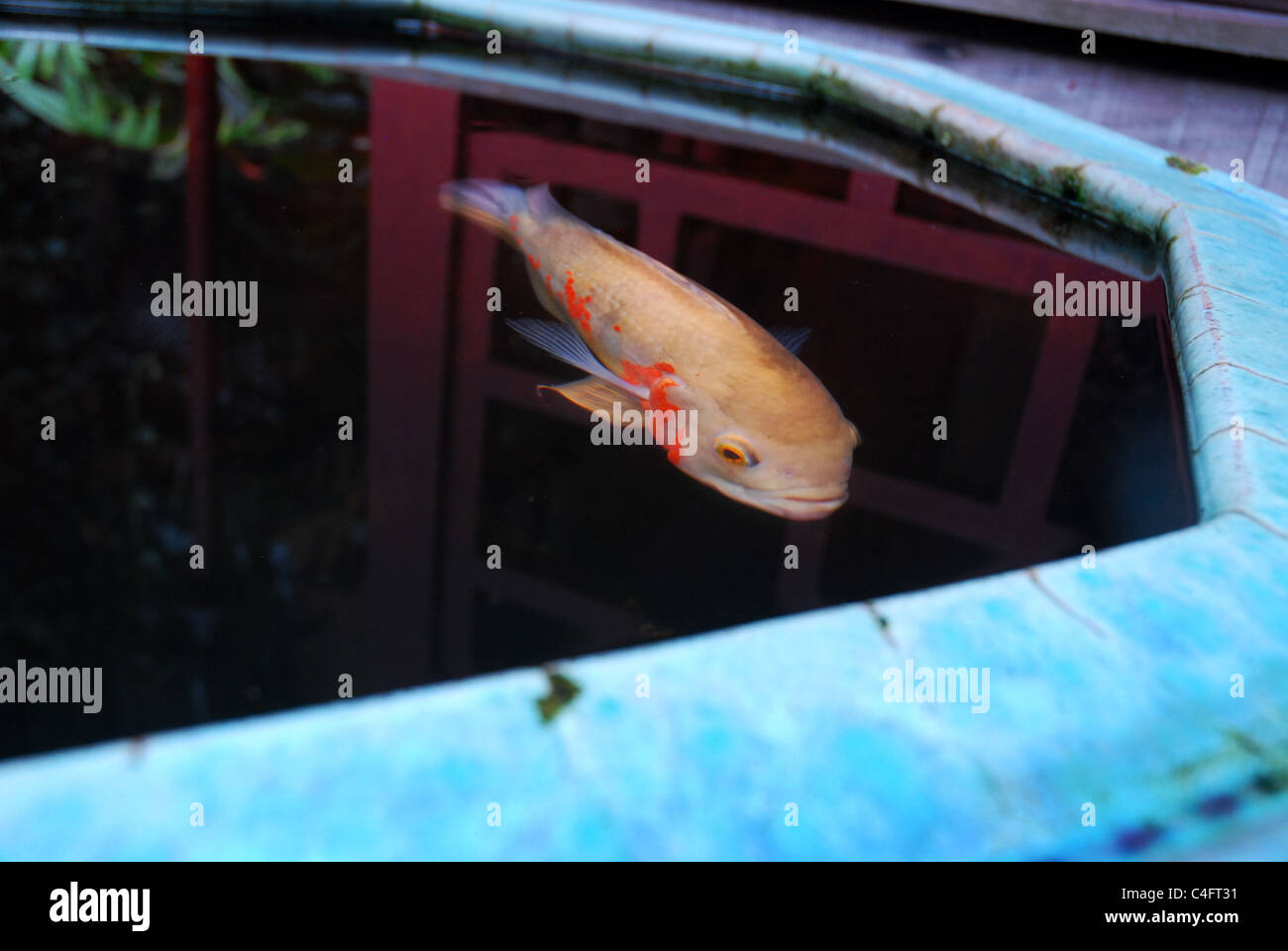 Thompson fish house hi-res stock photography and images - Alamy