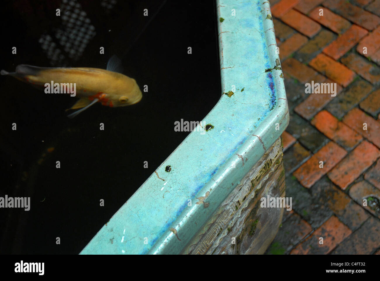 Gold Jim High Resolution Stock Photography and Images - Alamy