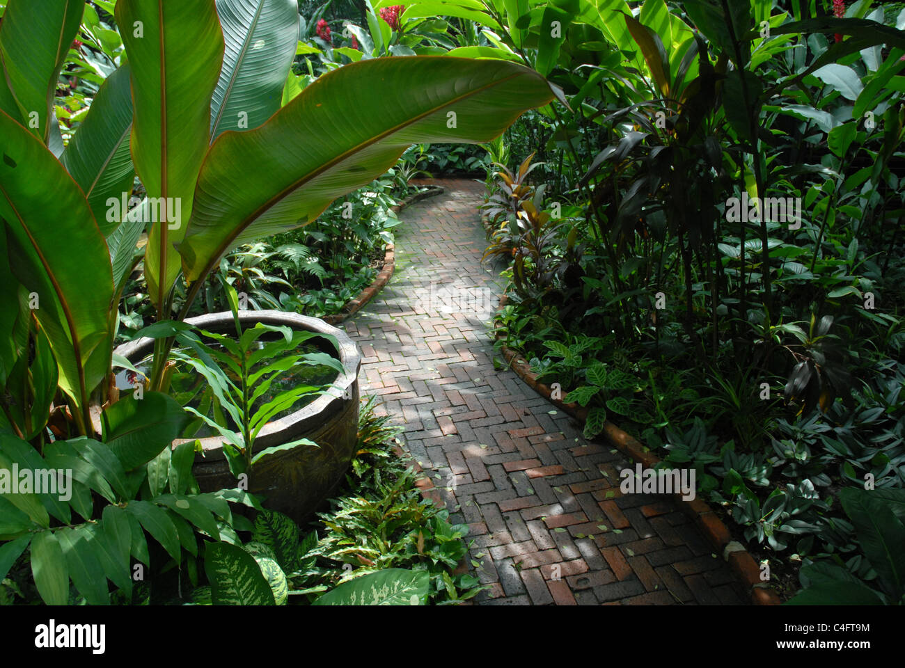 Jim thompson house gardens hi-res stock photography and images - Alamy