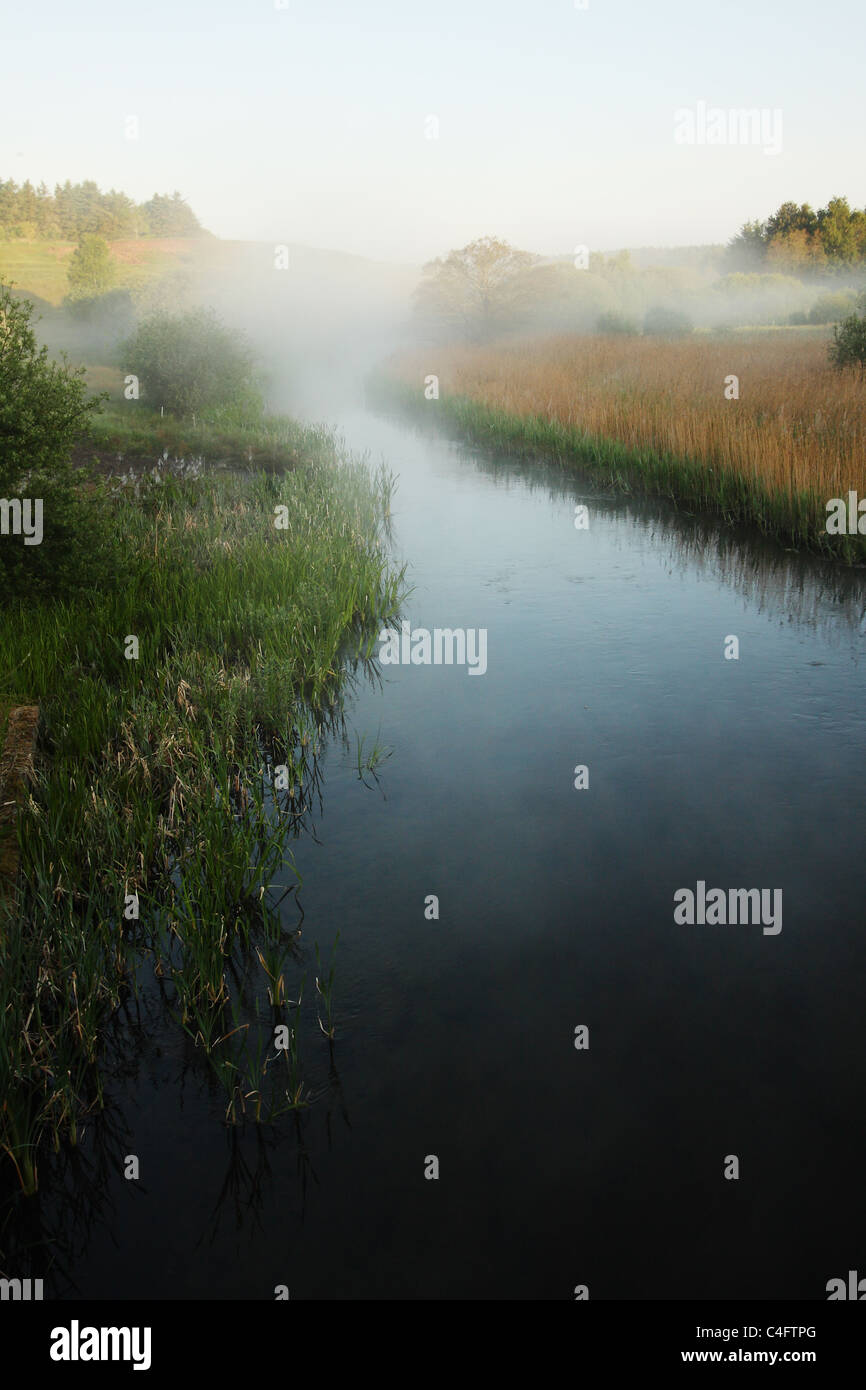 Morning mist at the river Skjern Aa in Denmark Stock Photo - Alamy