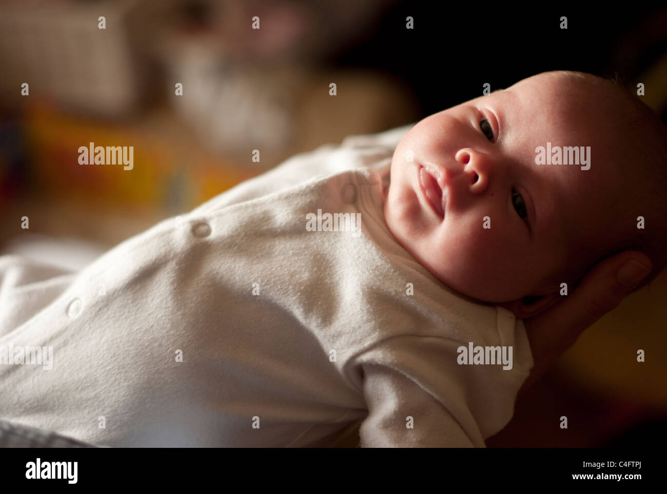 8 week old baby hi-res stock photography and images - Alamy