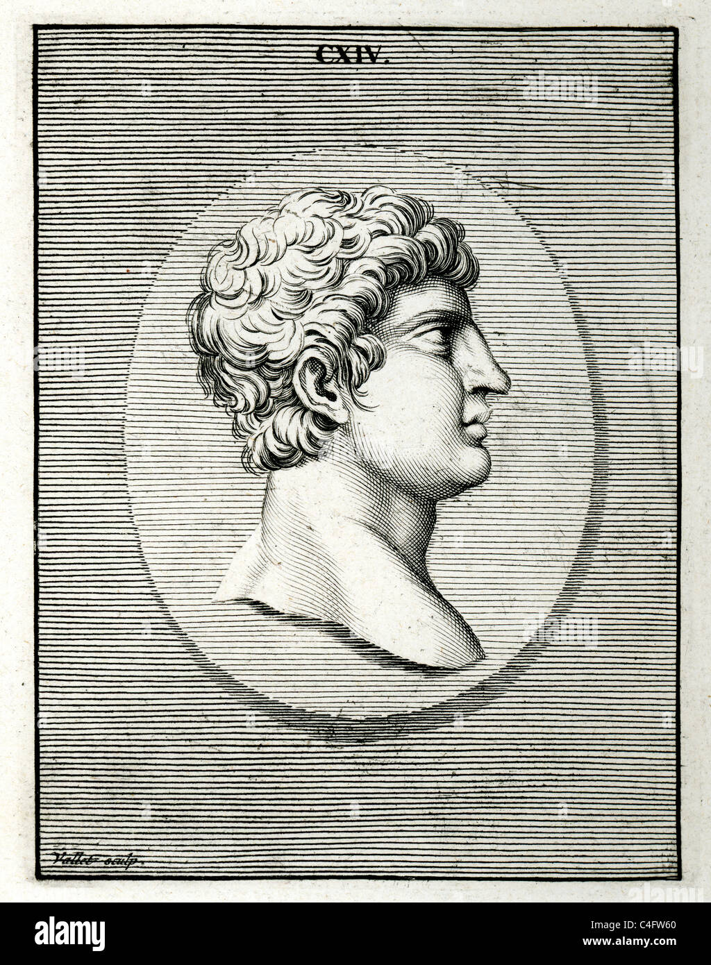 Roman nose profile hi-res stock photography and images - Alamy