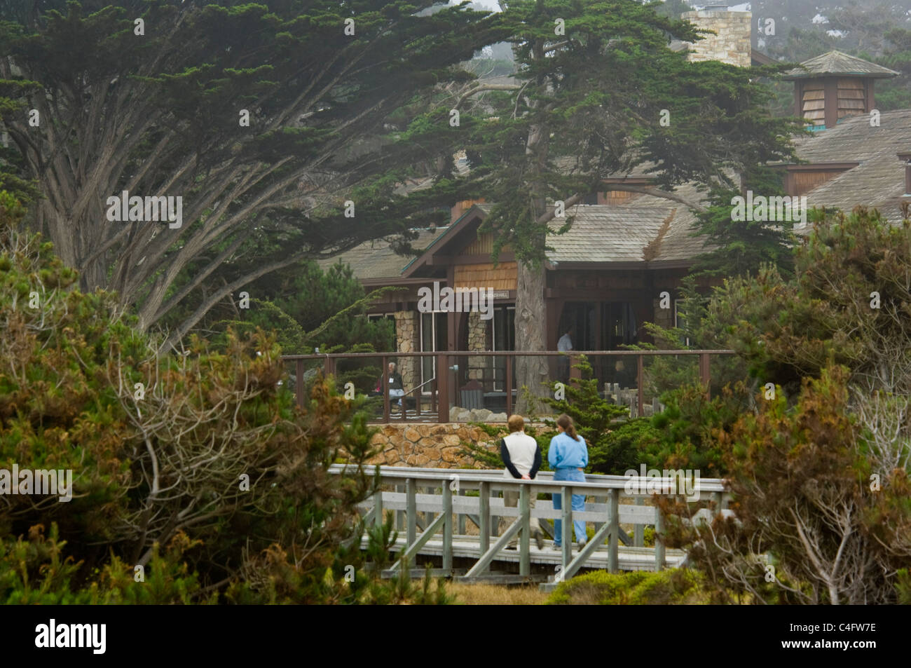 Boardwalk pathway at asilomar conference center hi-res stock ...