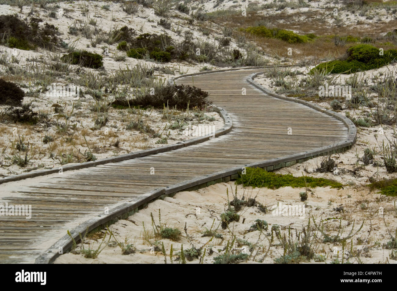 Monterey dunes hi-res stock photography and images - Alamy
