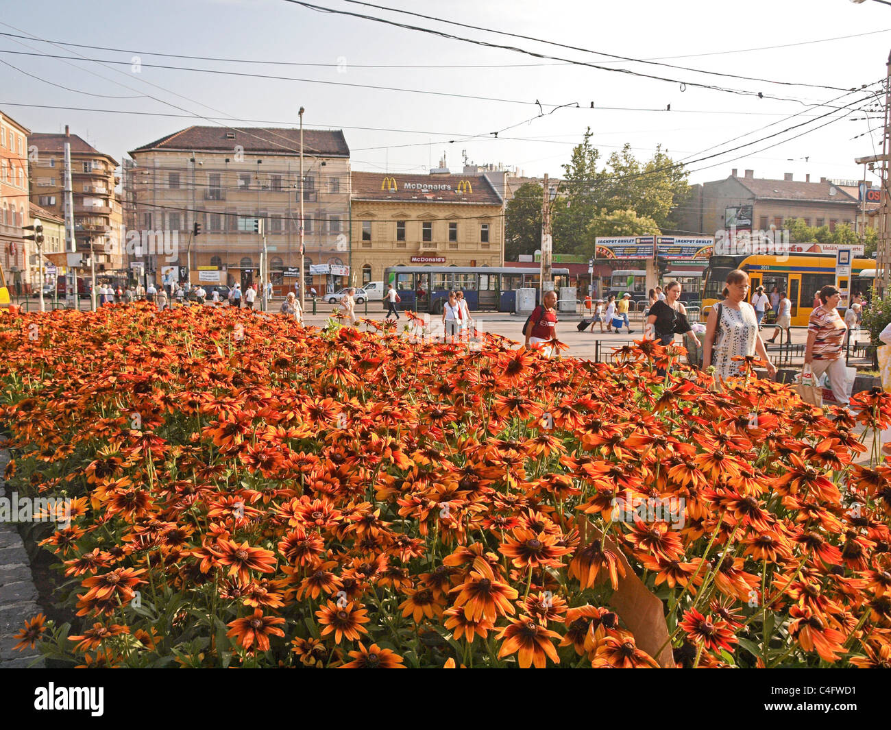 Moscow Square, a transportation hub in the Buda section of Budapest, Hungary Stock Photo - Alamy