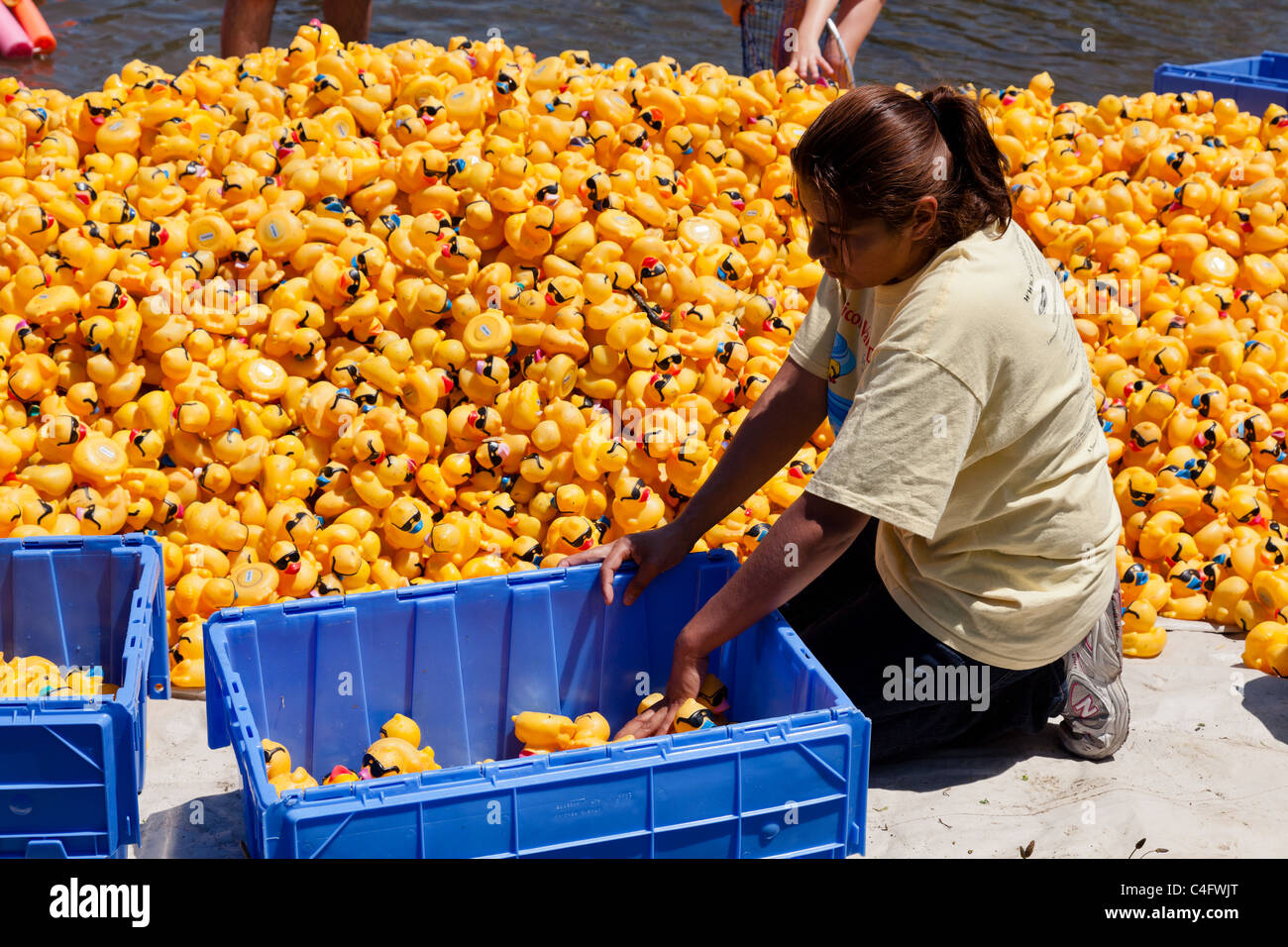 LOS GATOS, CA, USA - JUNE 12: The rubber duckies are kicking off their ...