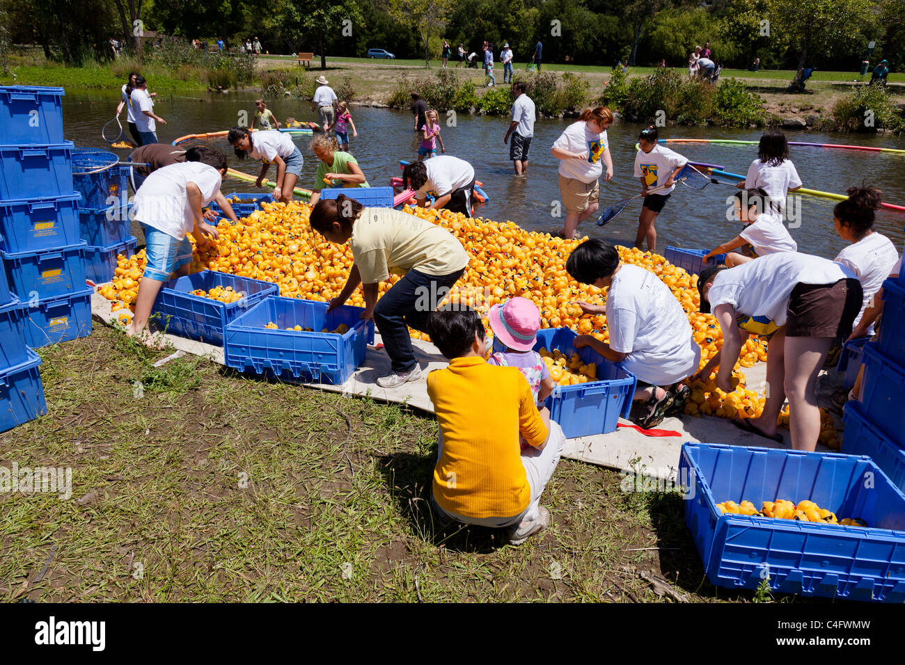 LOS GATOS, CA, USA - JUNE 12: The rubber duckies are kicking off their ...