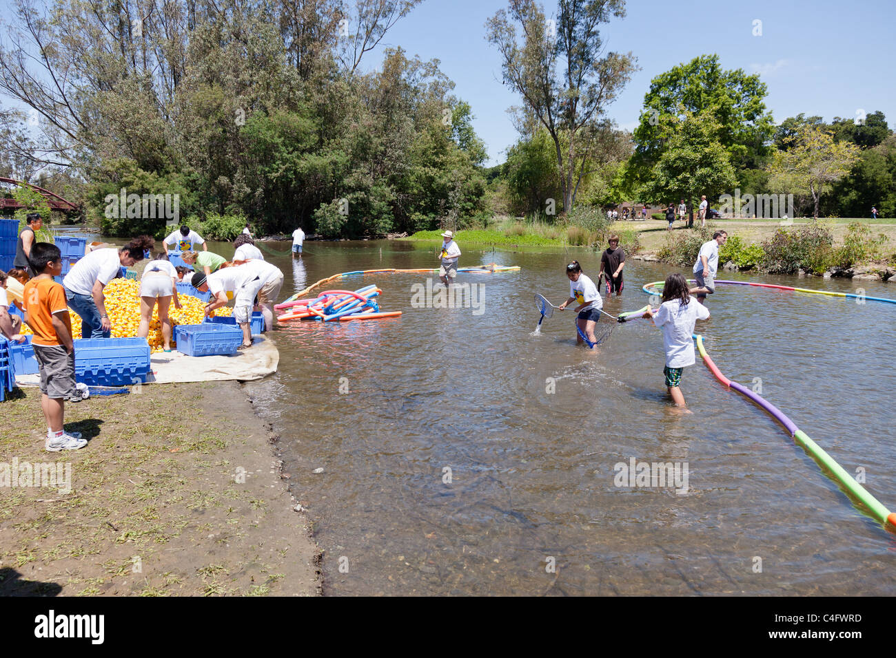 LOS GATOS, CA, USA - JUNE 12: The rubber duckies are kicking off their ...