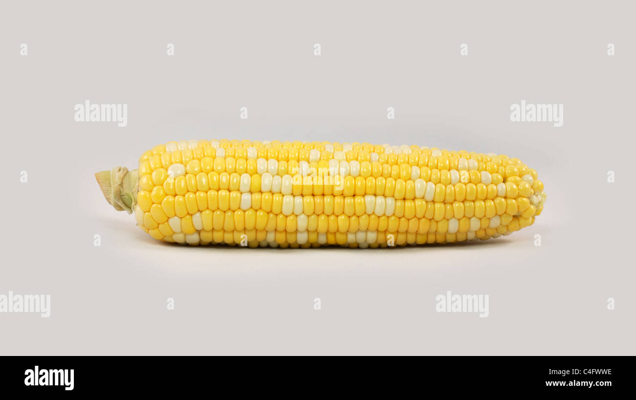 Corn cob without the corn hi-res stock photography and images - Alamy