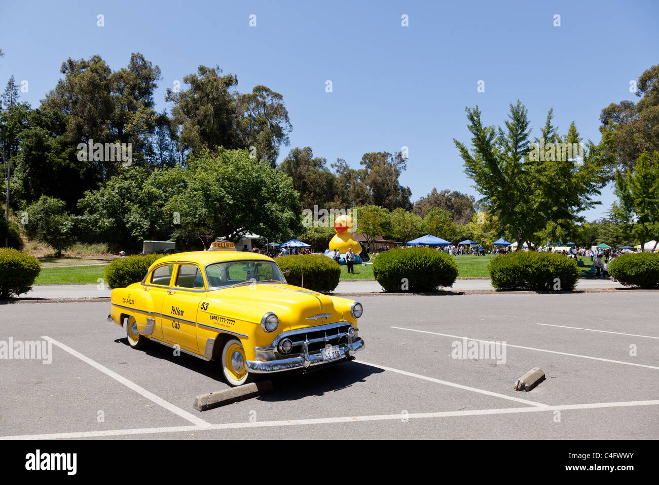LOS GATOS, CA, USA - JUNE 12: The rubber duckies are kicking off their ...