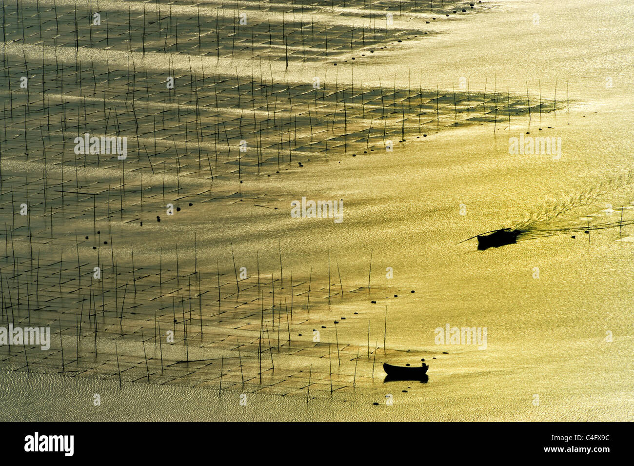 Ocean seaweed boat hi-res stock photography and images - Alamy