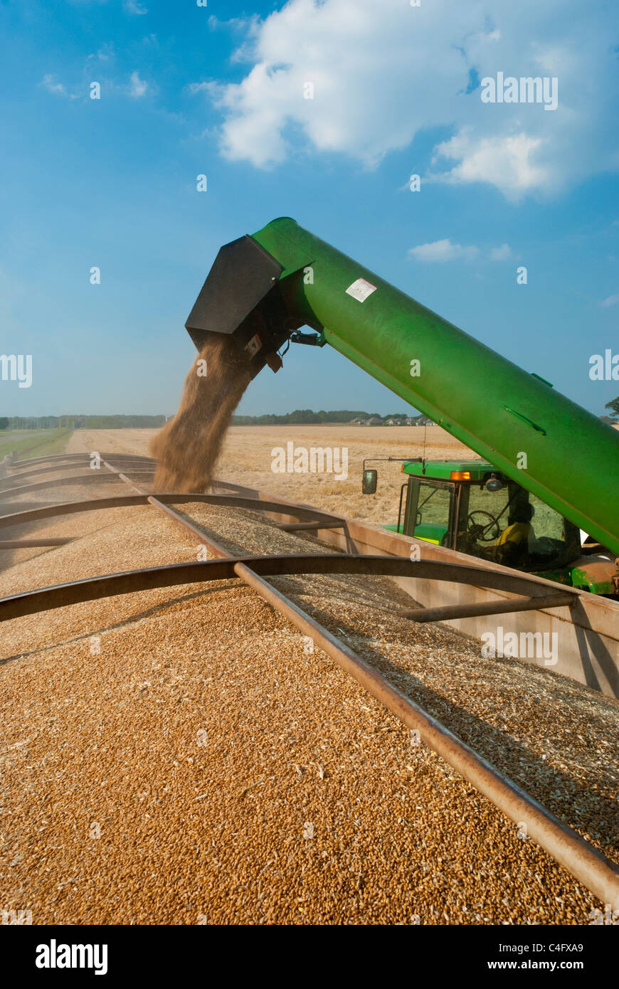 Loading wheat hi-res stock photography and images - Alamy