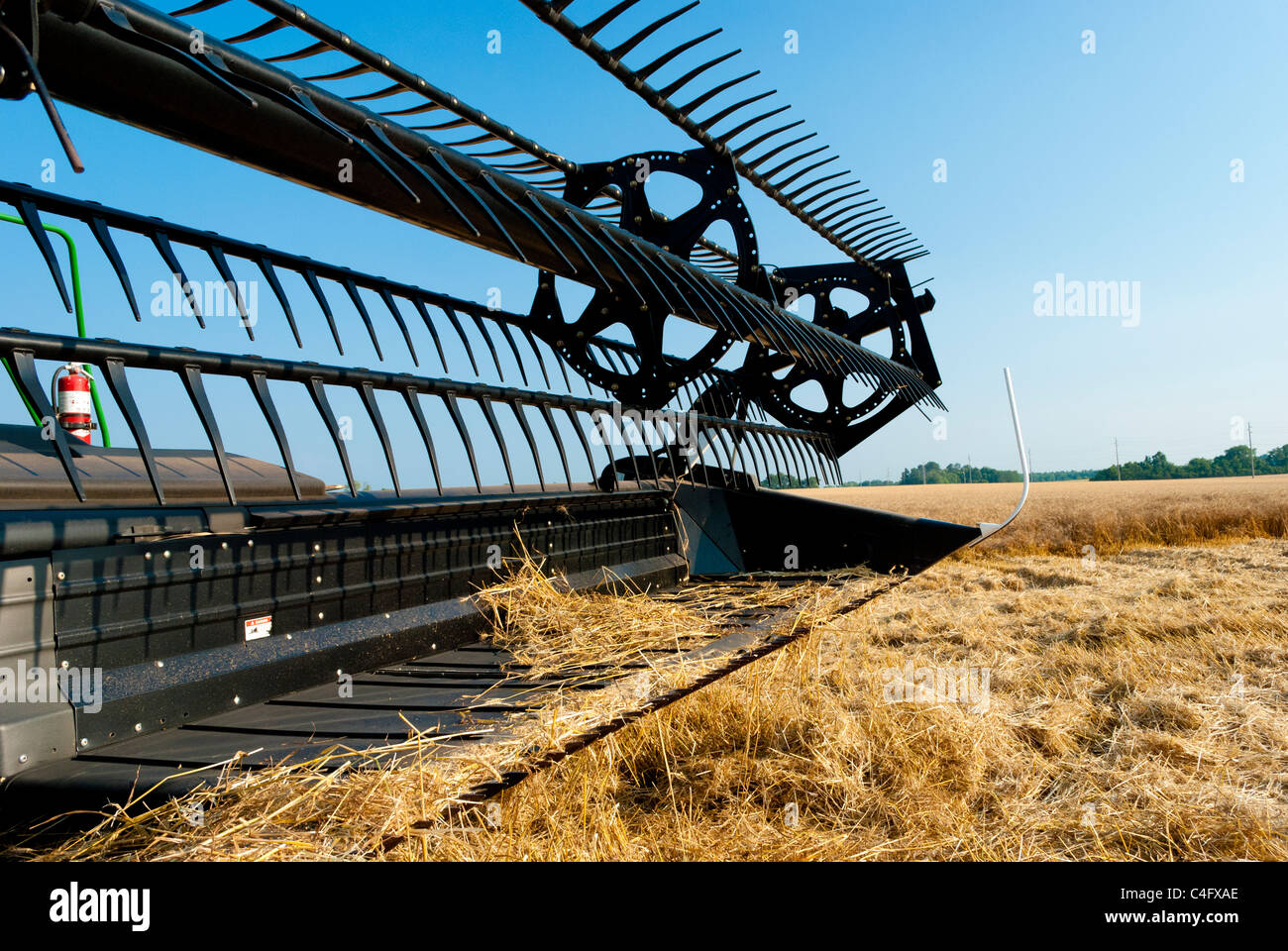 Combine harvesting wheat Stock Photo - Alamy