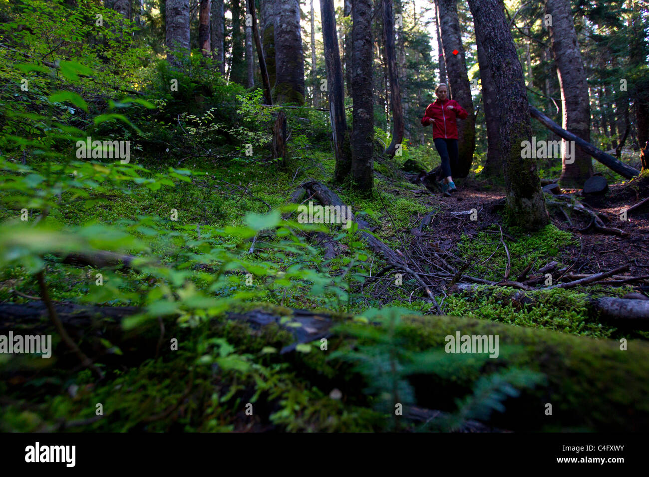 Ultra marathon female jessica glowacky runner running trails on Cypress ...
