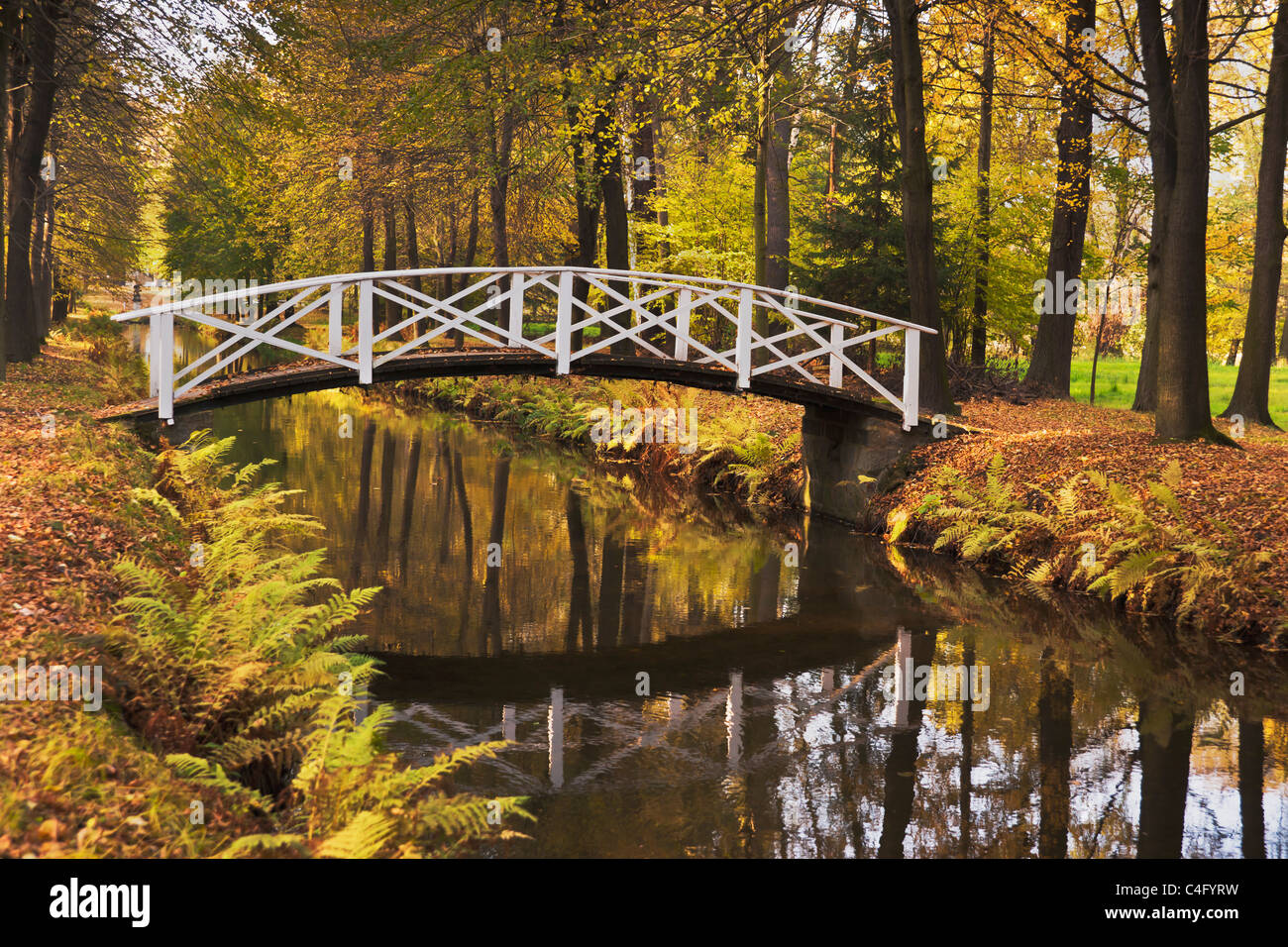 Herbst im Wald | autumn in the forest Stock Photo - Alamy