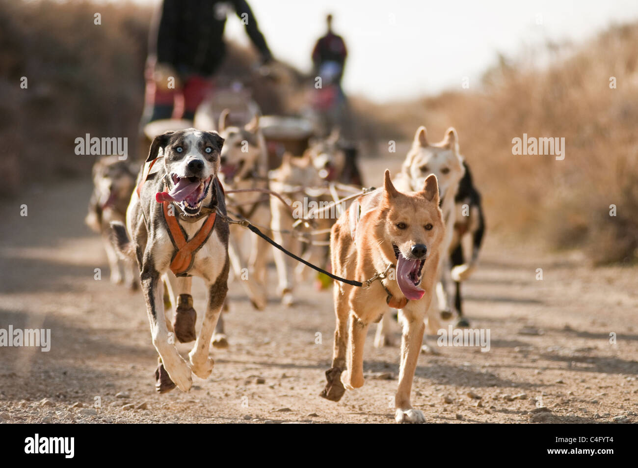 Los monegros hi-res stock photography and images - Alamy