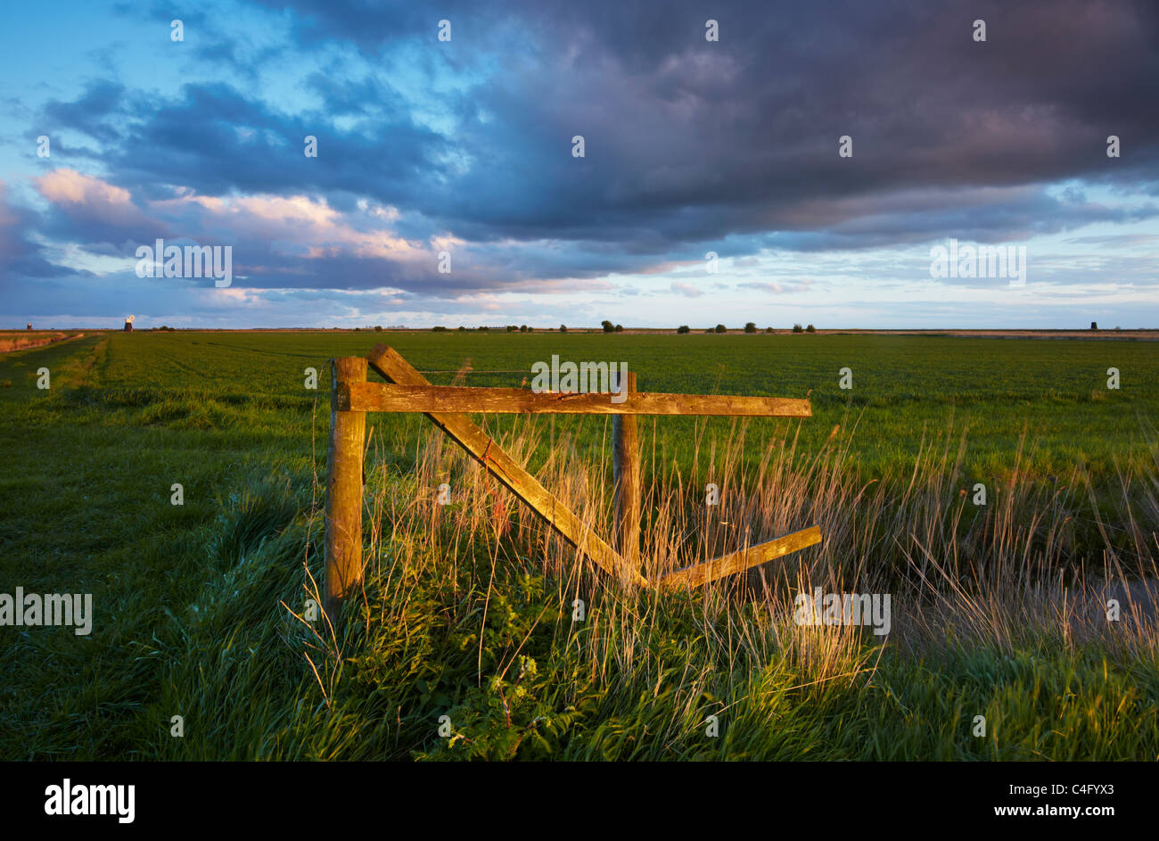 River bure norfolk yarmouth hi-res stock photography and images - Alamy