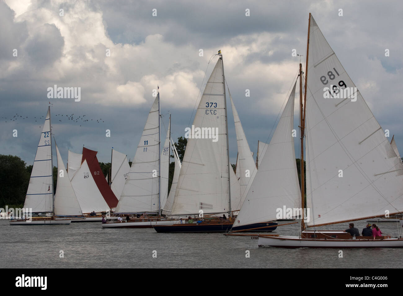 Sailing on the Norfolk Broads Stock Photo - Alamy
