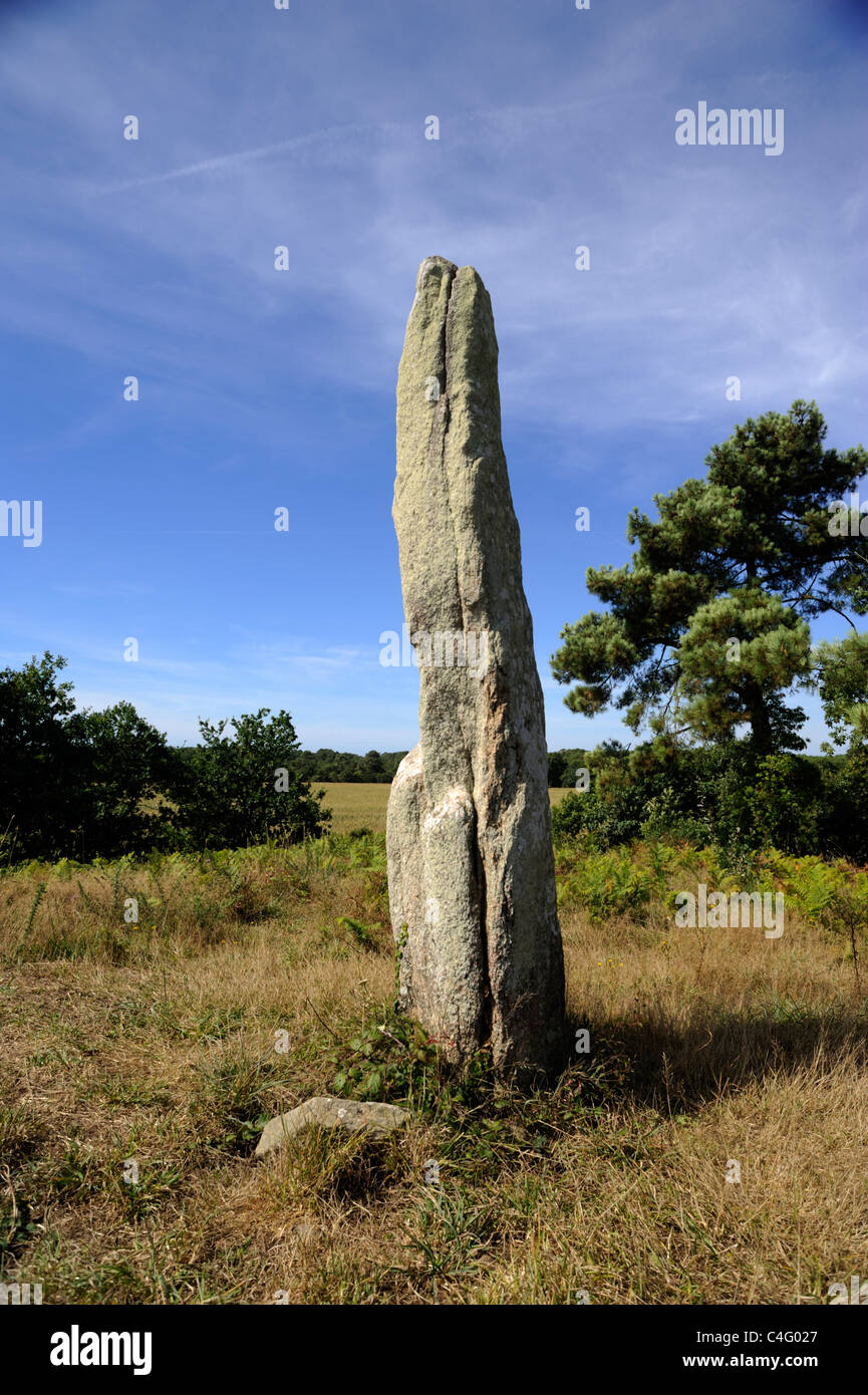 Celtic menhir hi-res stock photography and images - Alamy