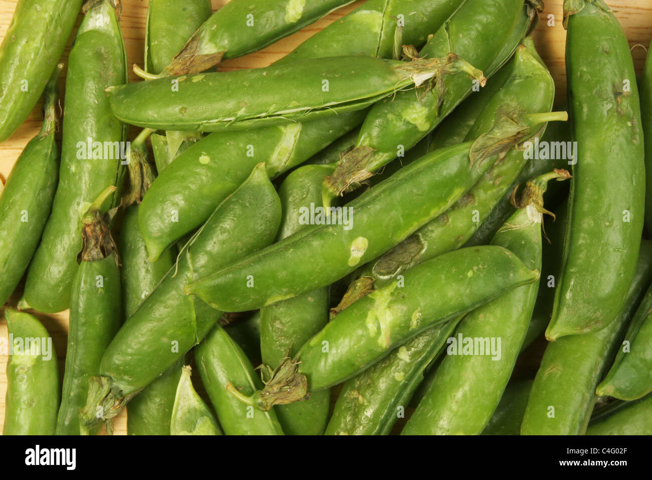 Pea pods as a background and texture Stock Photo - Alamy
