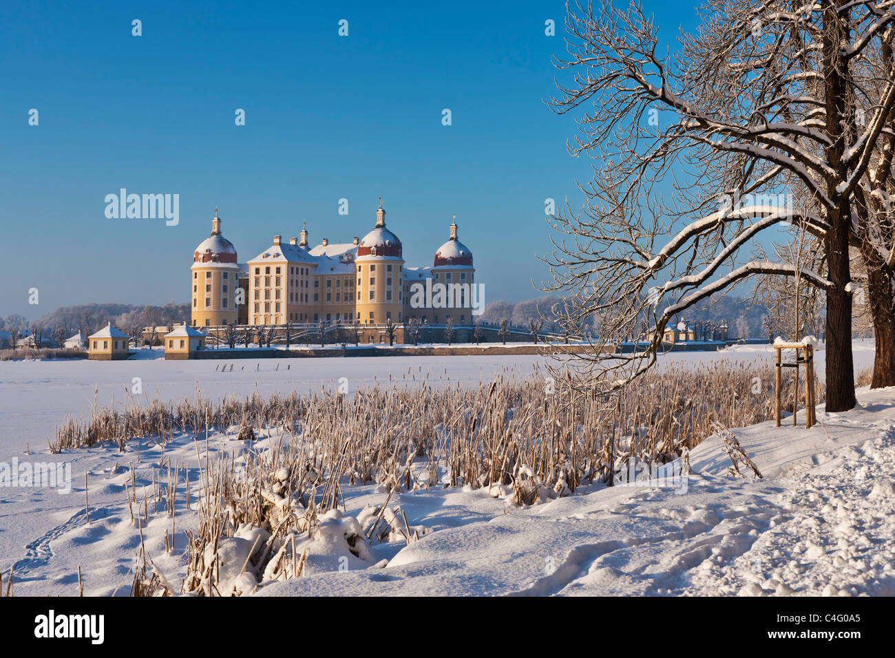 Schloss Moritzburg, Sachsen | Moritzburg Castle, Saxony Stock Photo - Alamy