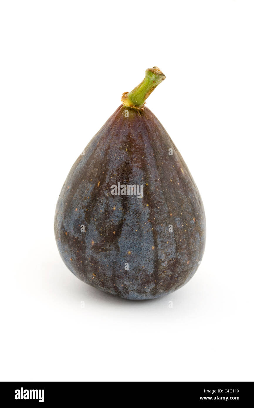 Single ripe fig isolated on a white background Stock Photo - Alamy