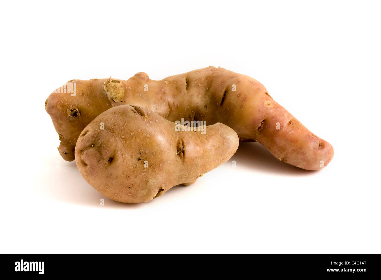 Two misshapen potatoes isolated on a white background Stock Photo - Alamy