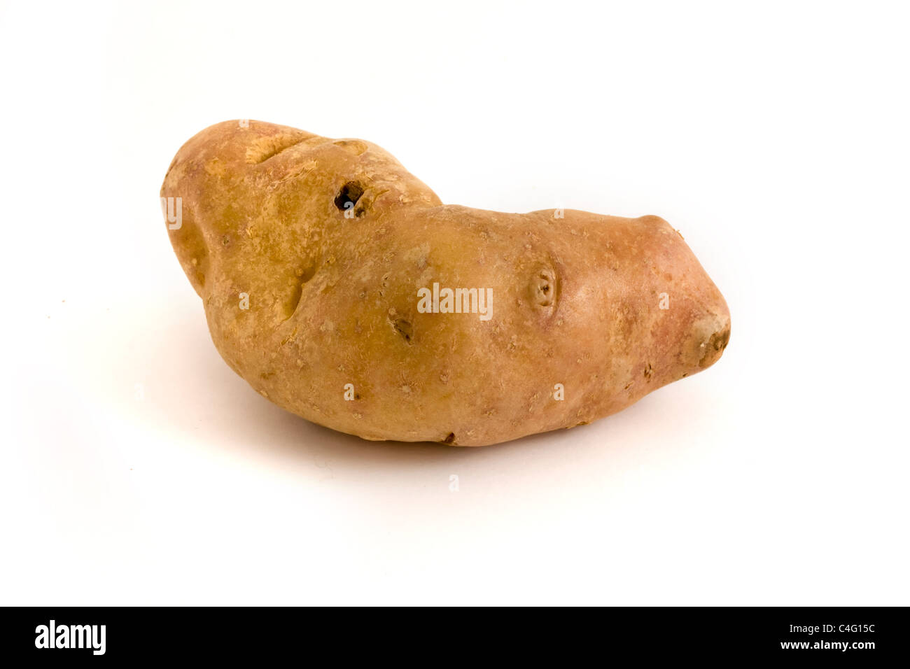 Misshapen Vegetables