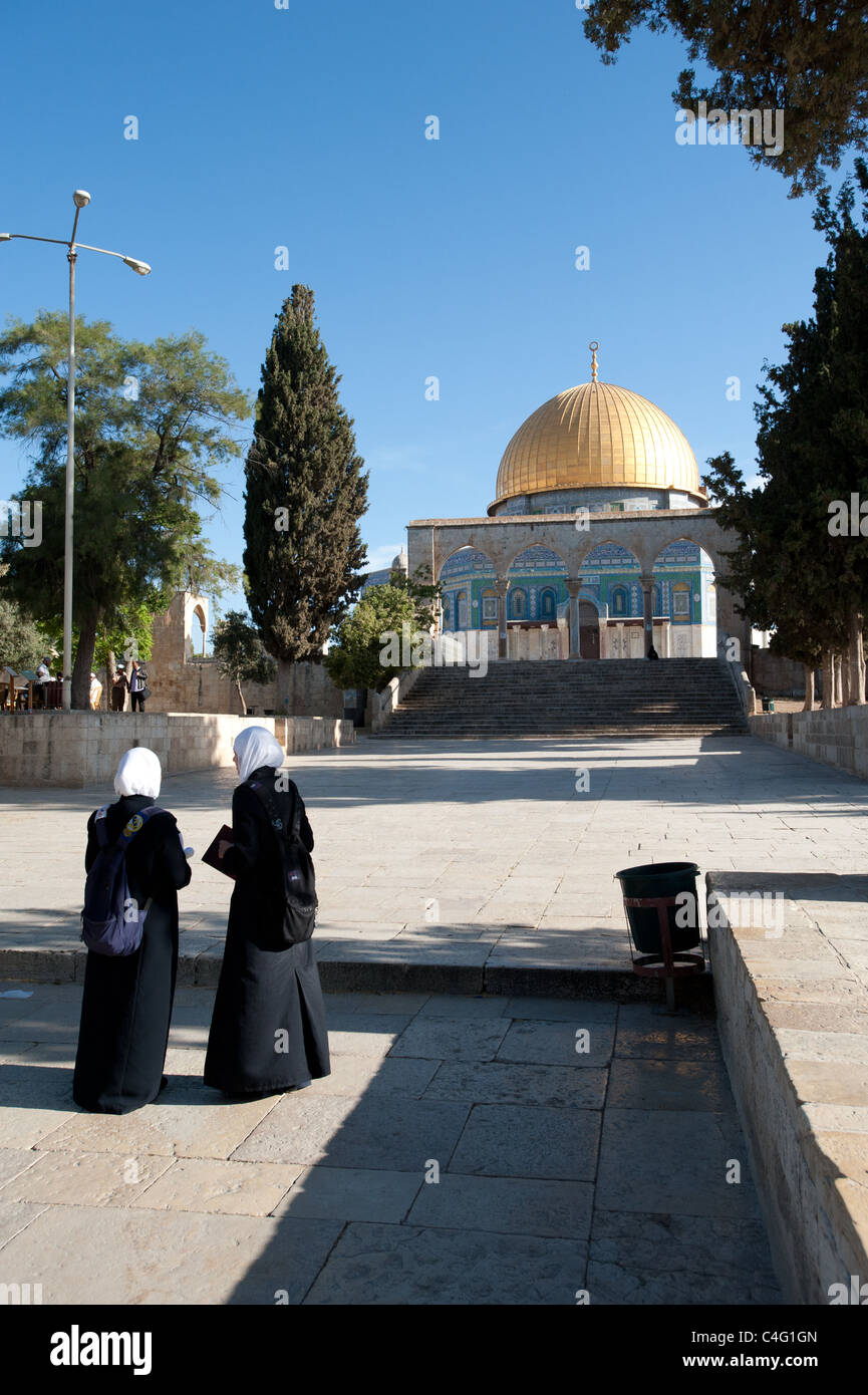 Walk in dome hi-res stock photography and images - Alamy