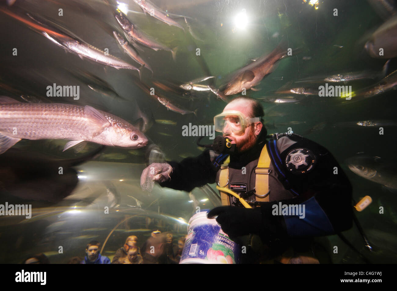 Deep sea world scotland hi-res stock photography and images - Alamy
