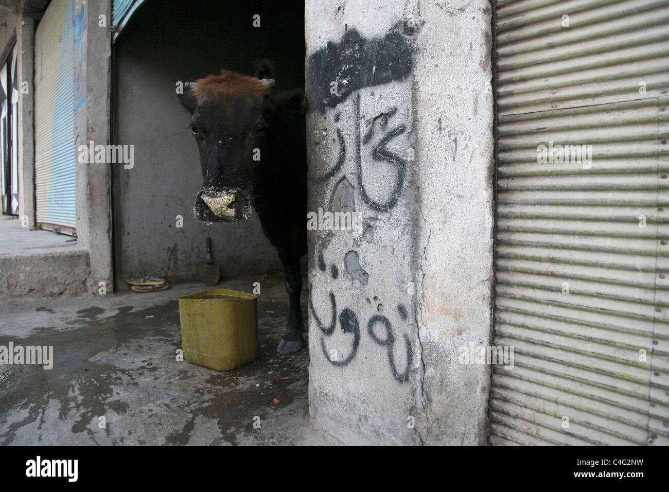 Kurdish village hi-res stock photography and images - Alamy