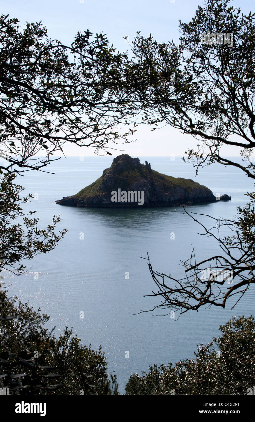 Thatcher rock devon hi-res stock photography and images - Alamy