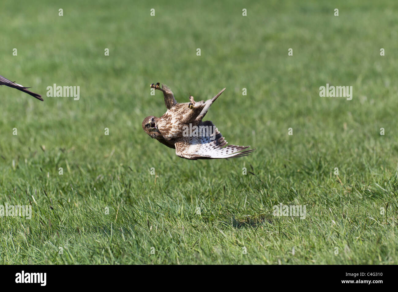 Warding off attack hi-res stock photography and images - Alamy
