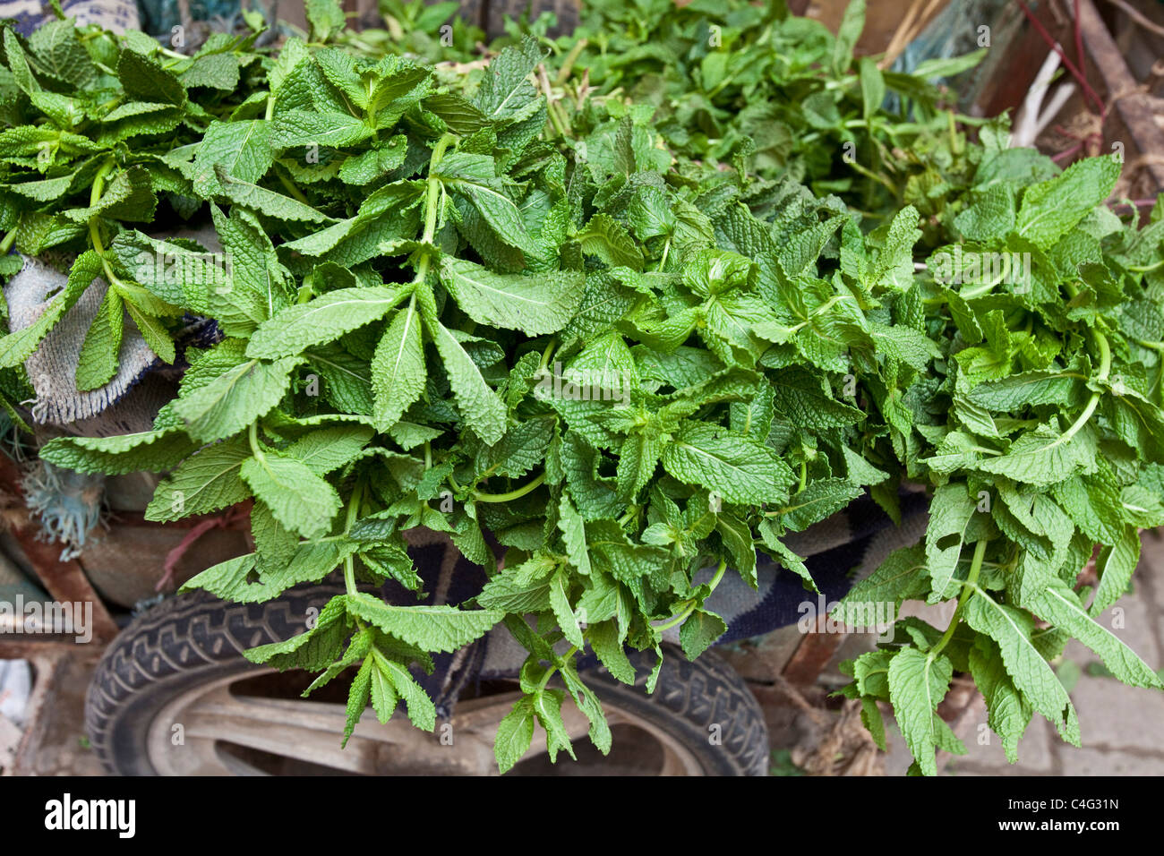Fez mint hi-res stock photography and images - Alamy