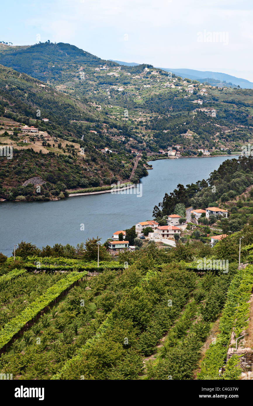 Douro river valley vineyard hi-res stock photography and images - Alamy