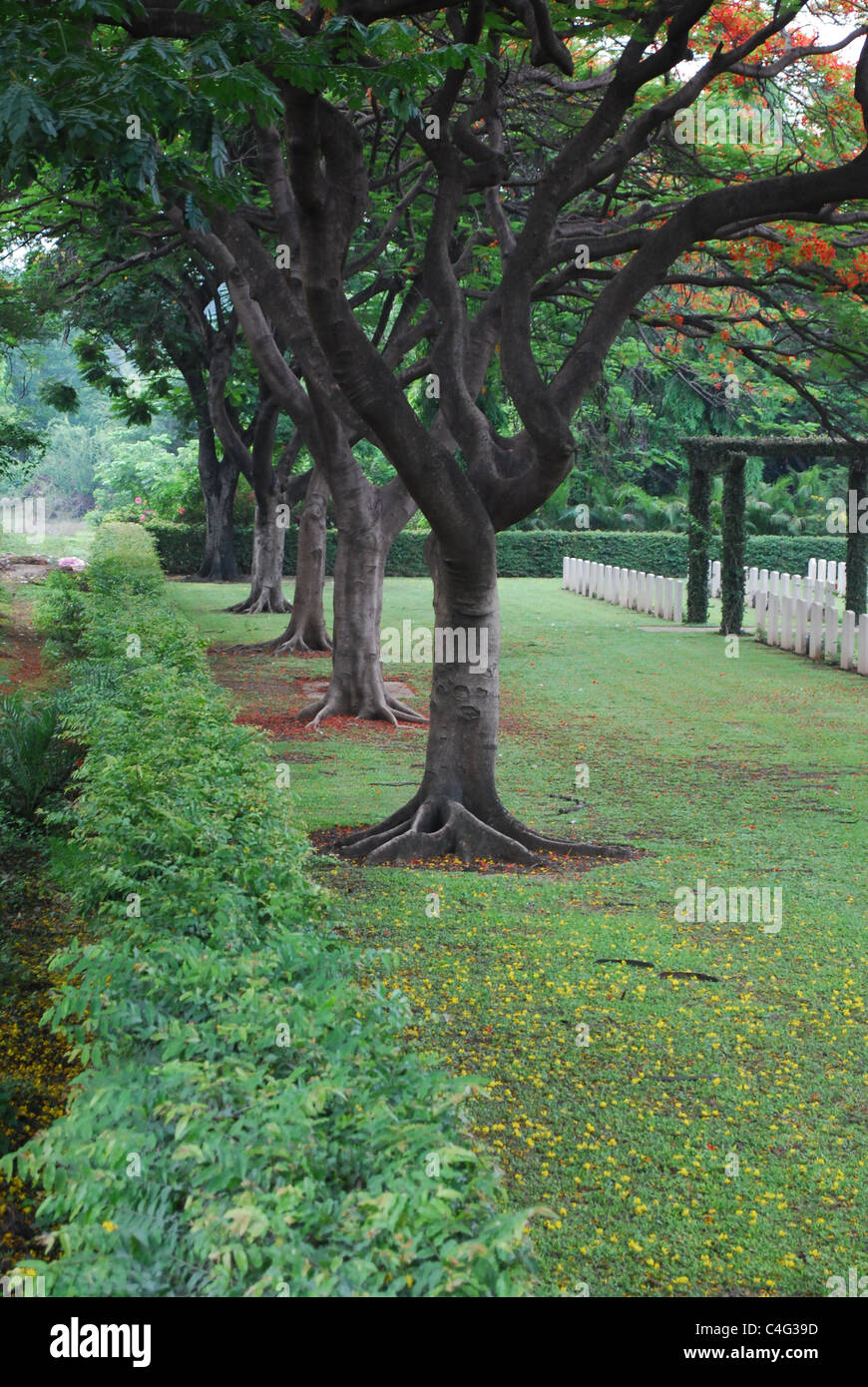 Tree lawns hi-res stock photography and images - Alamy