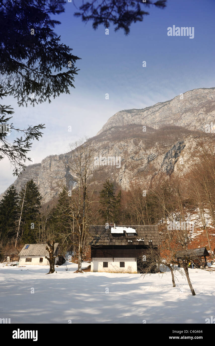 Huts near Lake Bohinj in the Triglav National Park of Slovenia Stock ...
