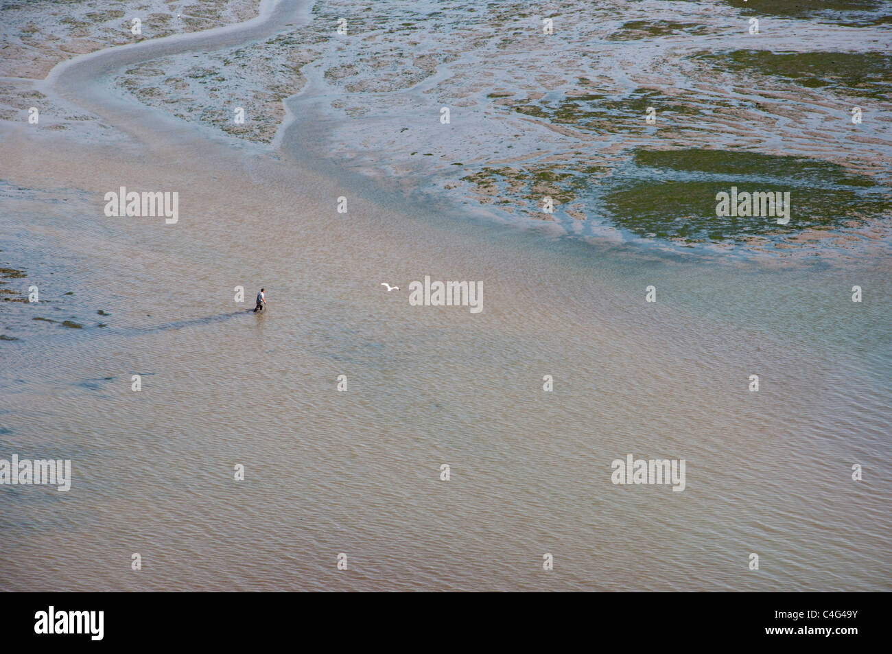 Man wading across mud flats Stock Photo - Alamy