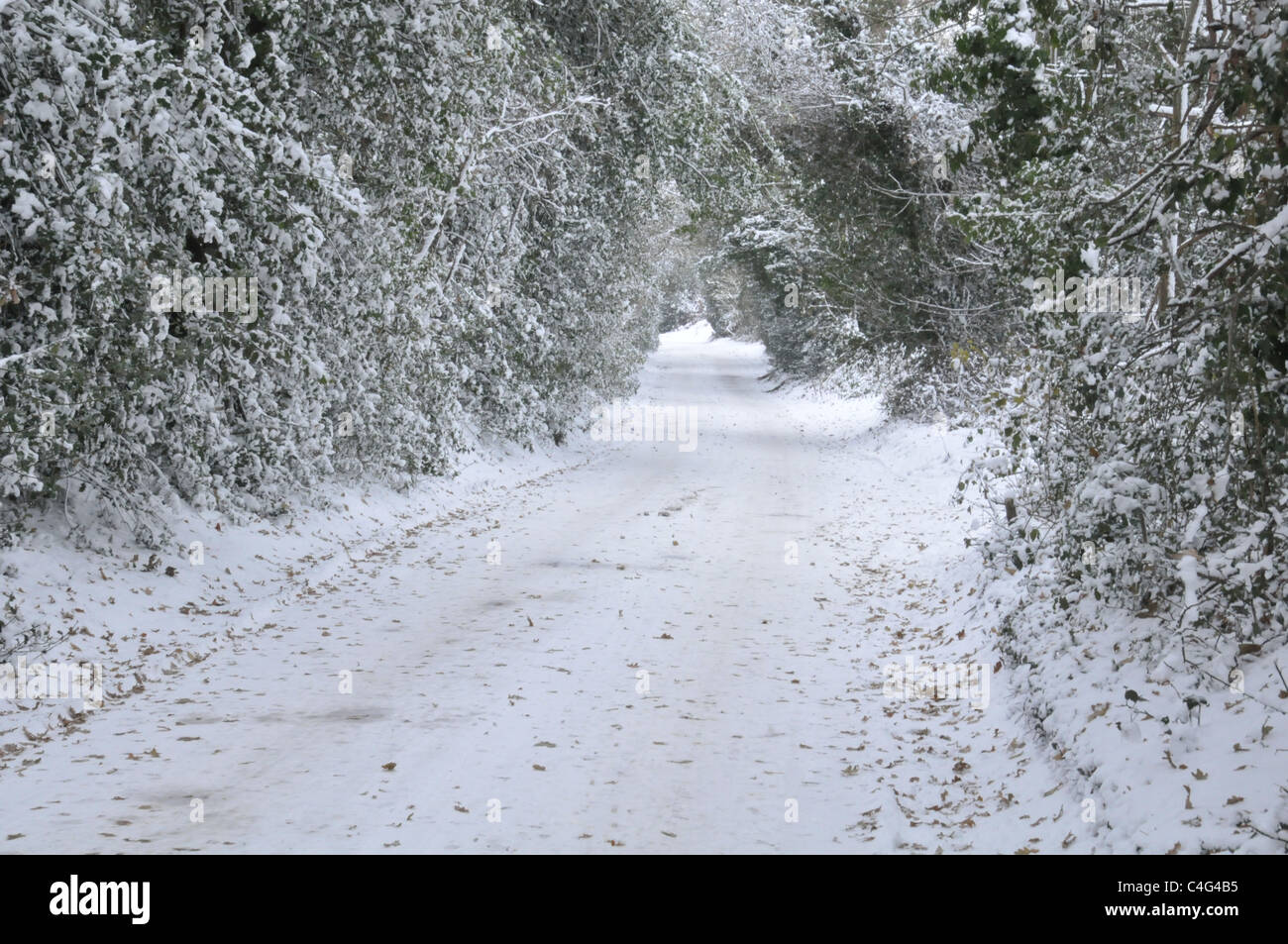 Copthorne sussex hi-res stock photography and images - Alamy