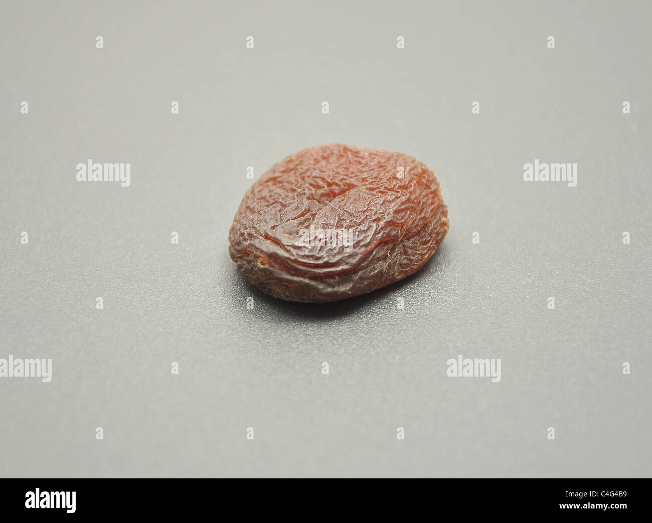 Detailed and colorful image of dried apricot Stock Photo - Alamy