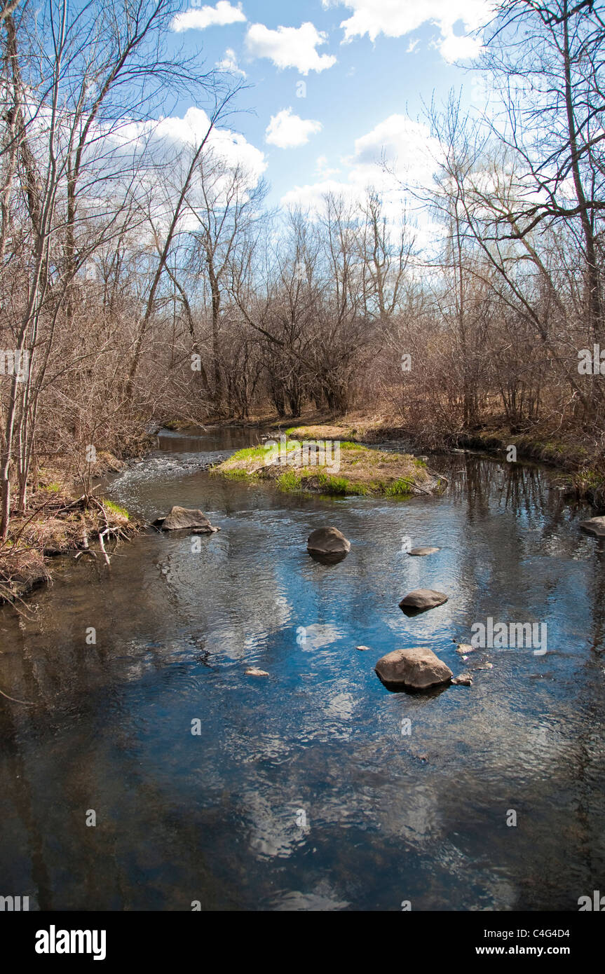 Little creek in the forest Stock Photo - Alamy