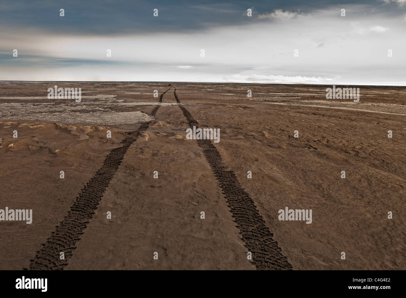 Jeep tracks on ash fall from Grimsvotn volcanic eruption on Vatnajokull ...