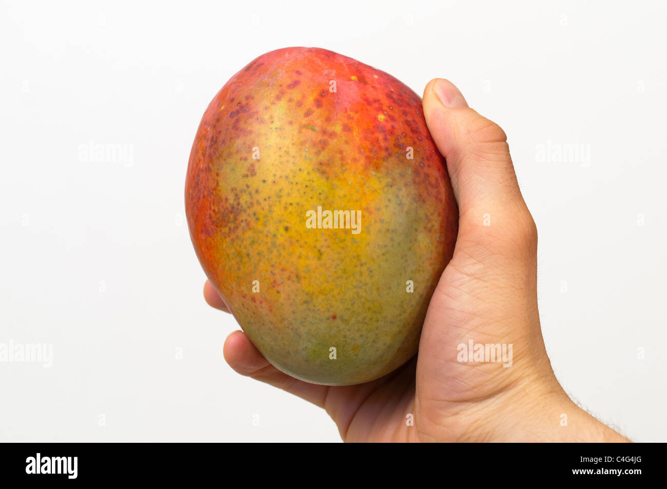 Hand holding mango hi-res stock photography and images - Alamy